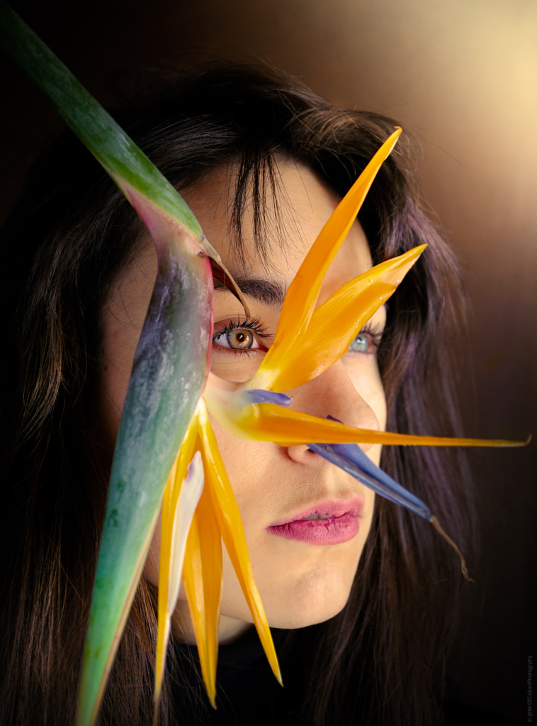 Portrait Rowan @Rowan.Bakker 17-03-2023 Thankyou! dear by ...