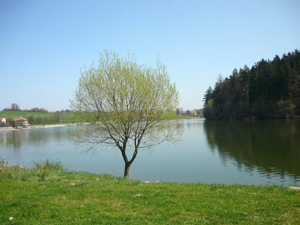 Scenic view of lake against clear sky by Ellen M / 500px