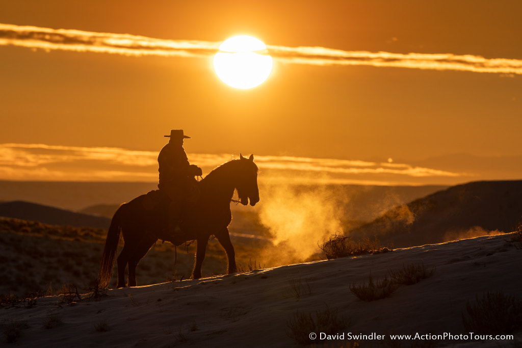 Winter Breath by David Swindler / 500px