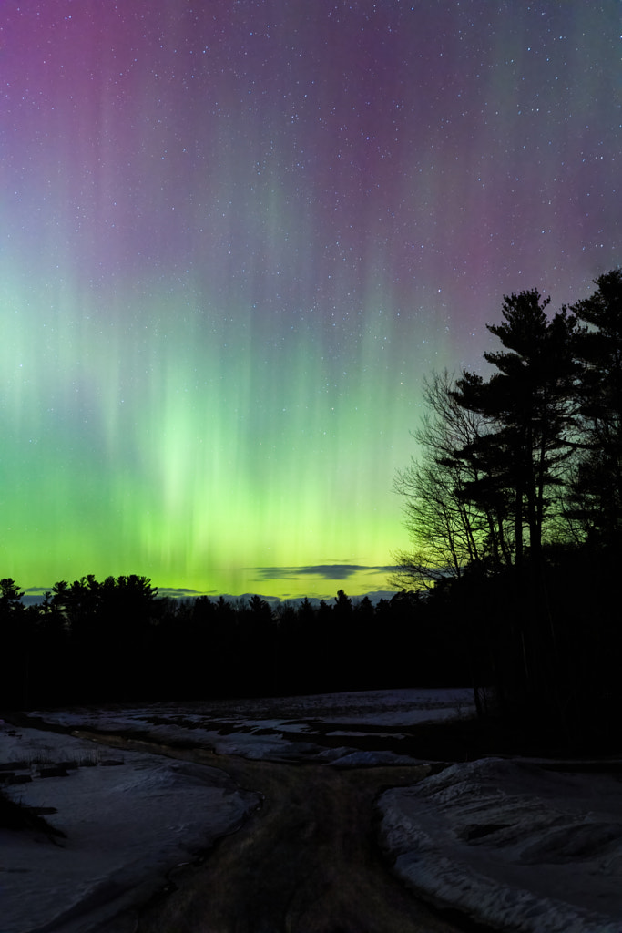 Northern Lights Over a Field in Ontario by Seth Macey / 500px
