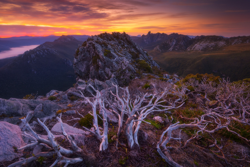 The Dial by Dylan Toh & Marianne Lim / 500px