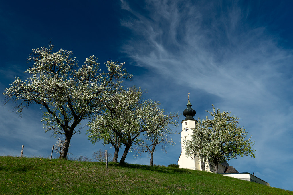 Spring by Hubert Bichler / 500px