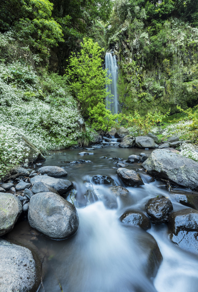 Waterfall by wild / 500px