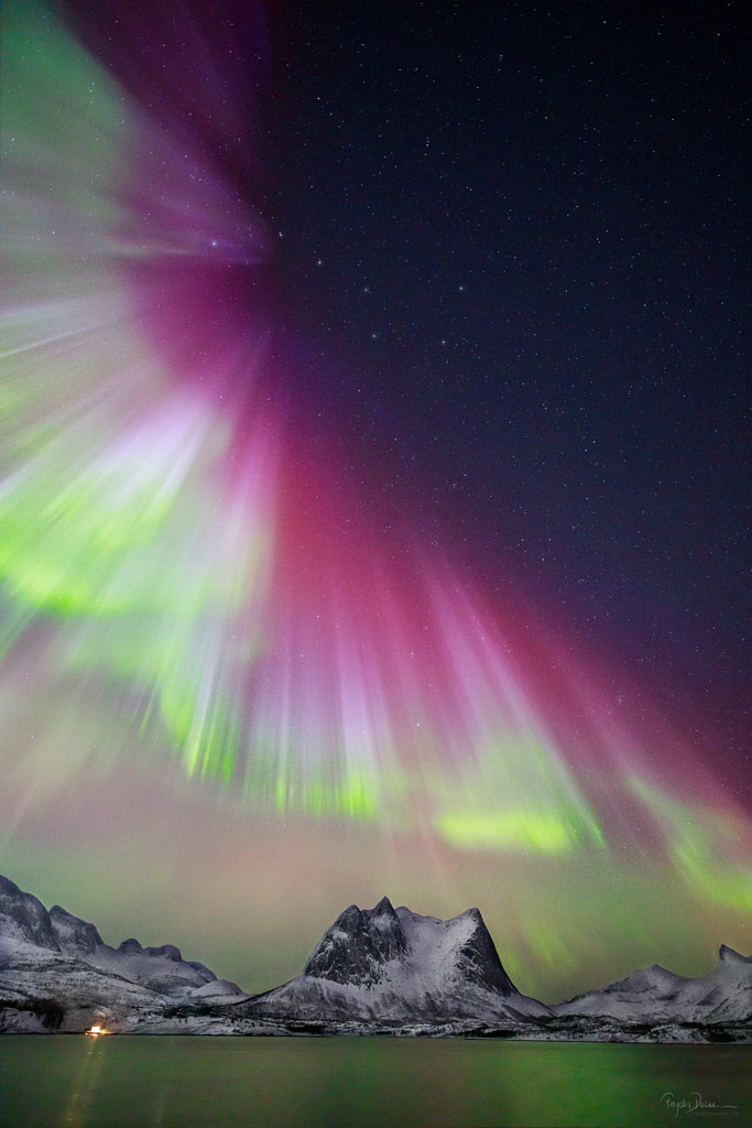 Equinox Aurora by Frøydis Dalheim / 500px