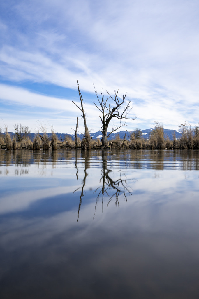 Reflection by Oliver Dünser / 500px