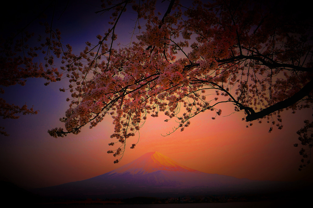Symbolic Japanese Spring 2 by Chikara Amano / 500px