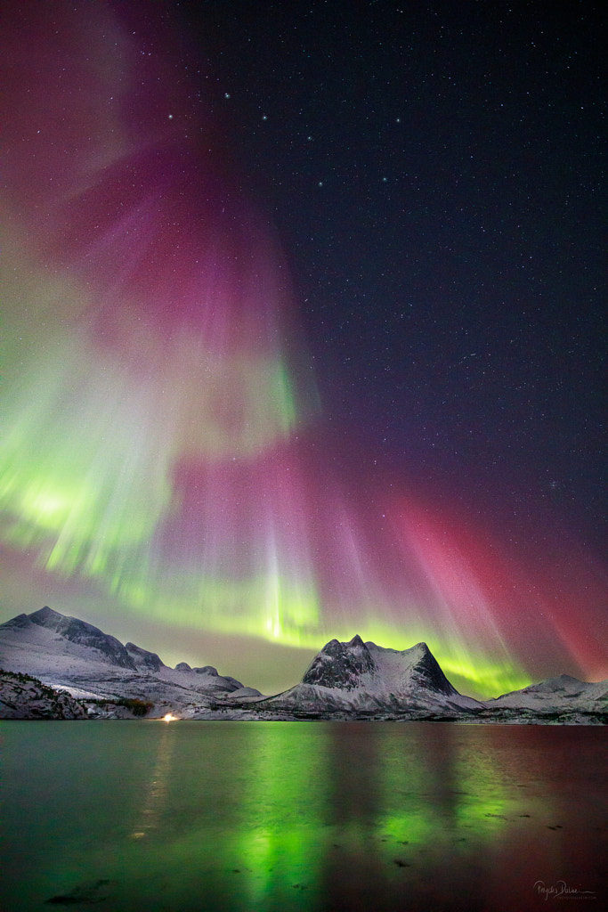 Equinox Aurora by Frøydis Dalheim / 500px