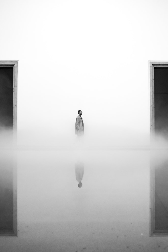 Fog Life by Manuel Sieber / 500px
