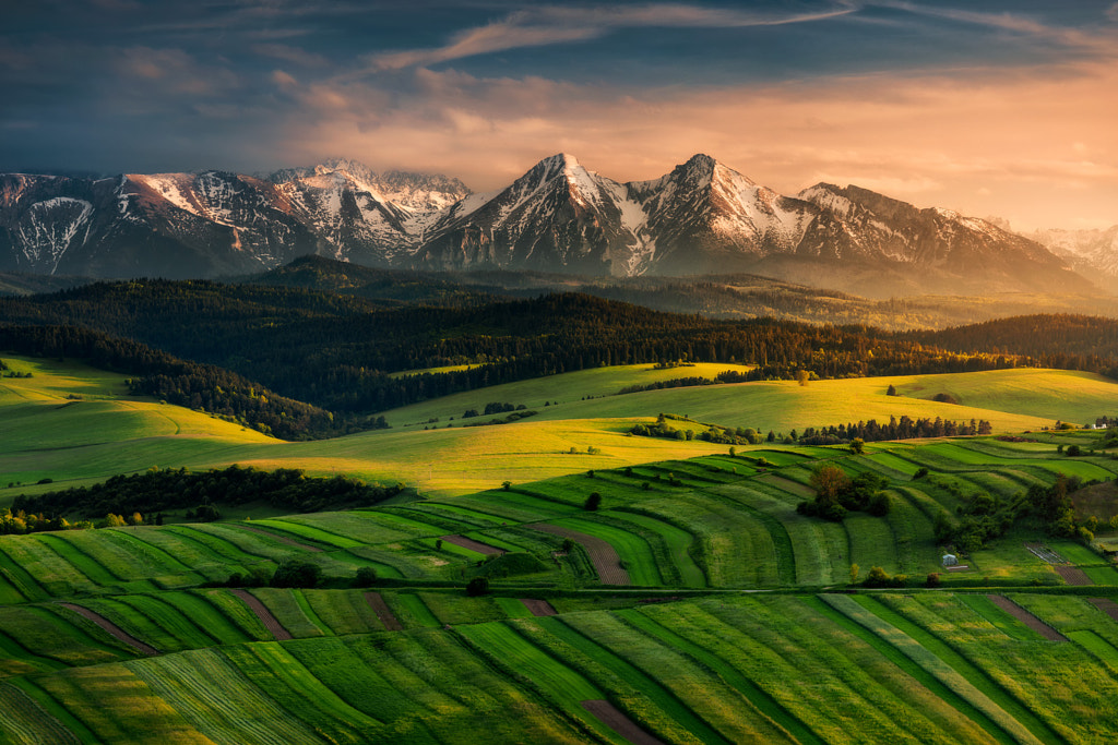 Spring time by Jakub Perlikowski / 500px