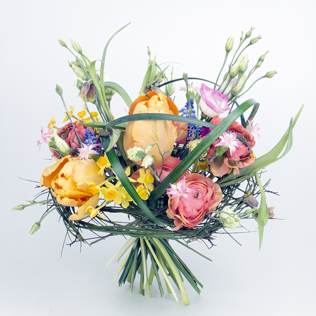 a237 by Josep Many Gratacòs / 500px