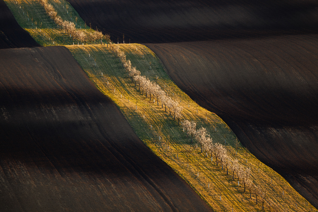 Golden Ribbon by Martin Rak / 500px