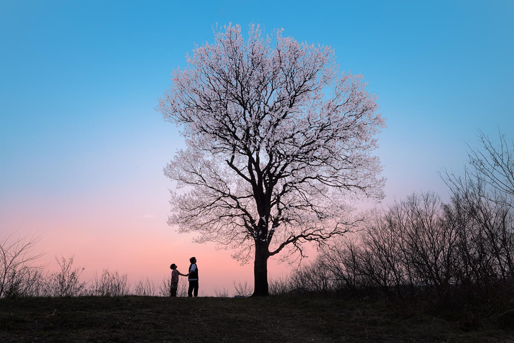 Spring by Beomyoung Go / 500px