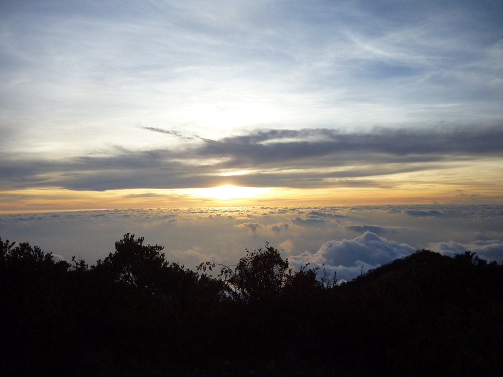 Sunrise in Mt. Lawu by ruuu herru / 500px
