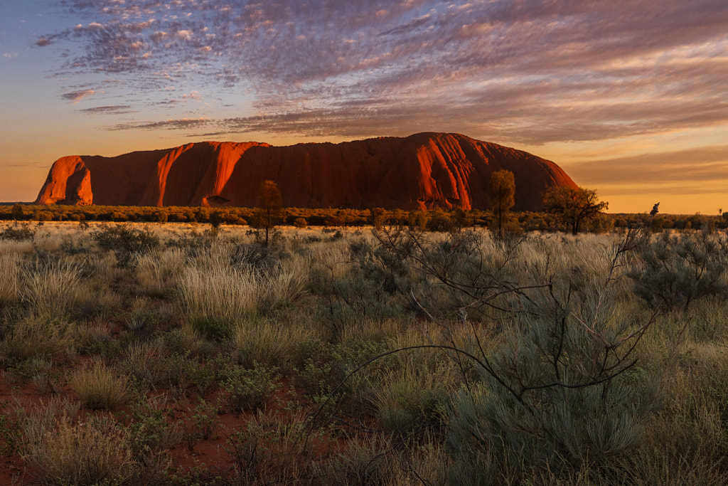 Uluru Sunrise by Mark McLoughlin / 500px