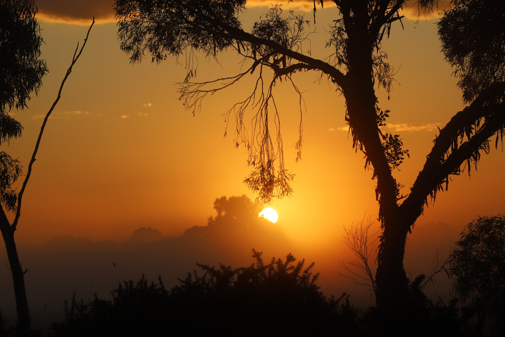 Morning Rise! by Bruce Prothero / 500px