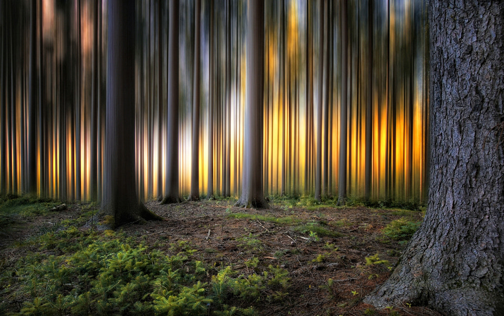 A Curtain Made Of Light by Carsten Meyerdierks / 500px