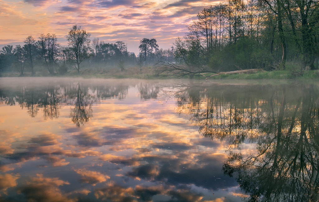 Foggy morning by Barbara G / 500px