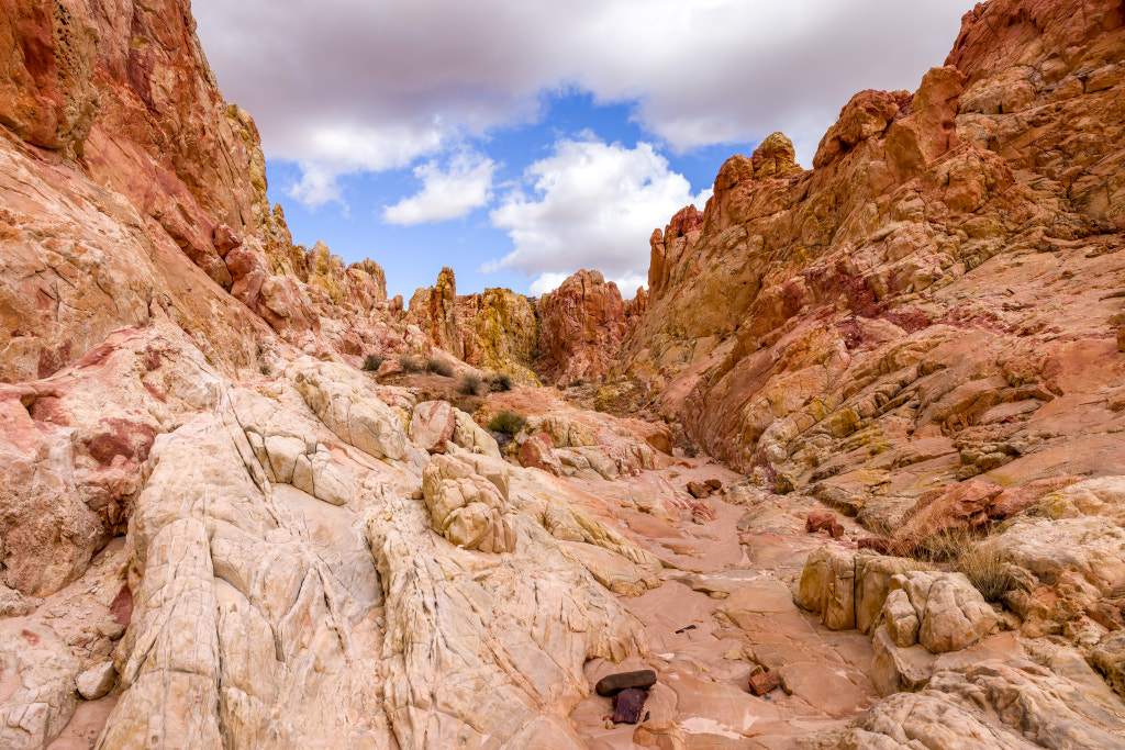 The Wild Colors in Valley of Fire by Van Strohm / 500px