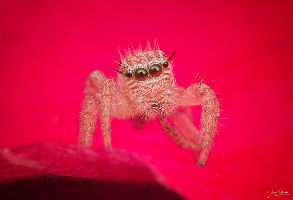 Flossing my teeth by Jason Stander / 500px