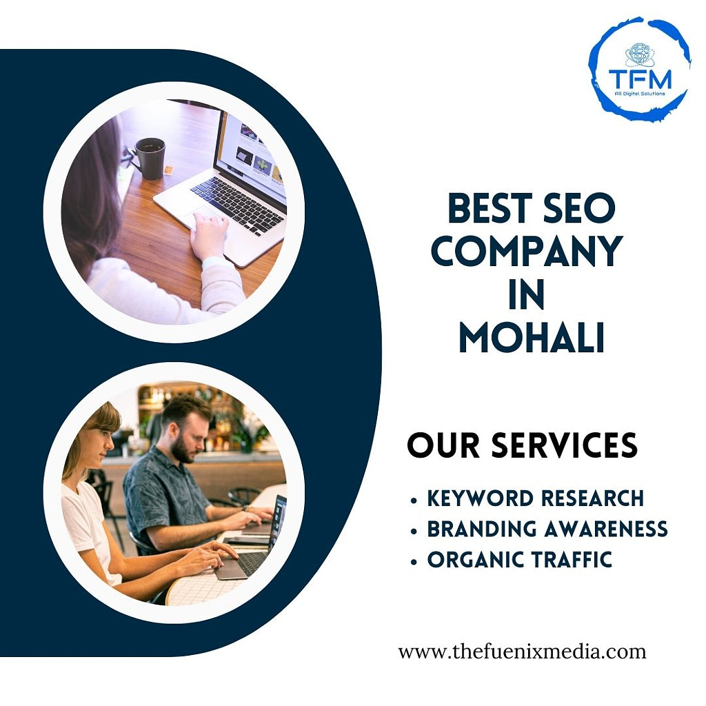 Best SEO Company in Mohali - 1 by yami thefuenixmedia03 / 500px