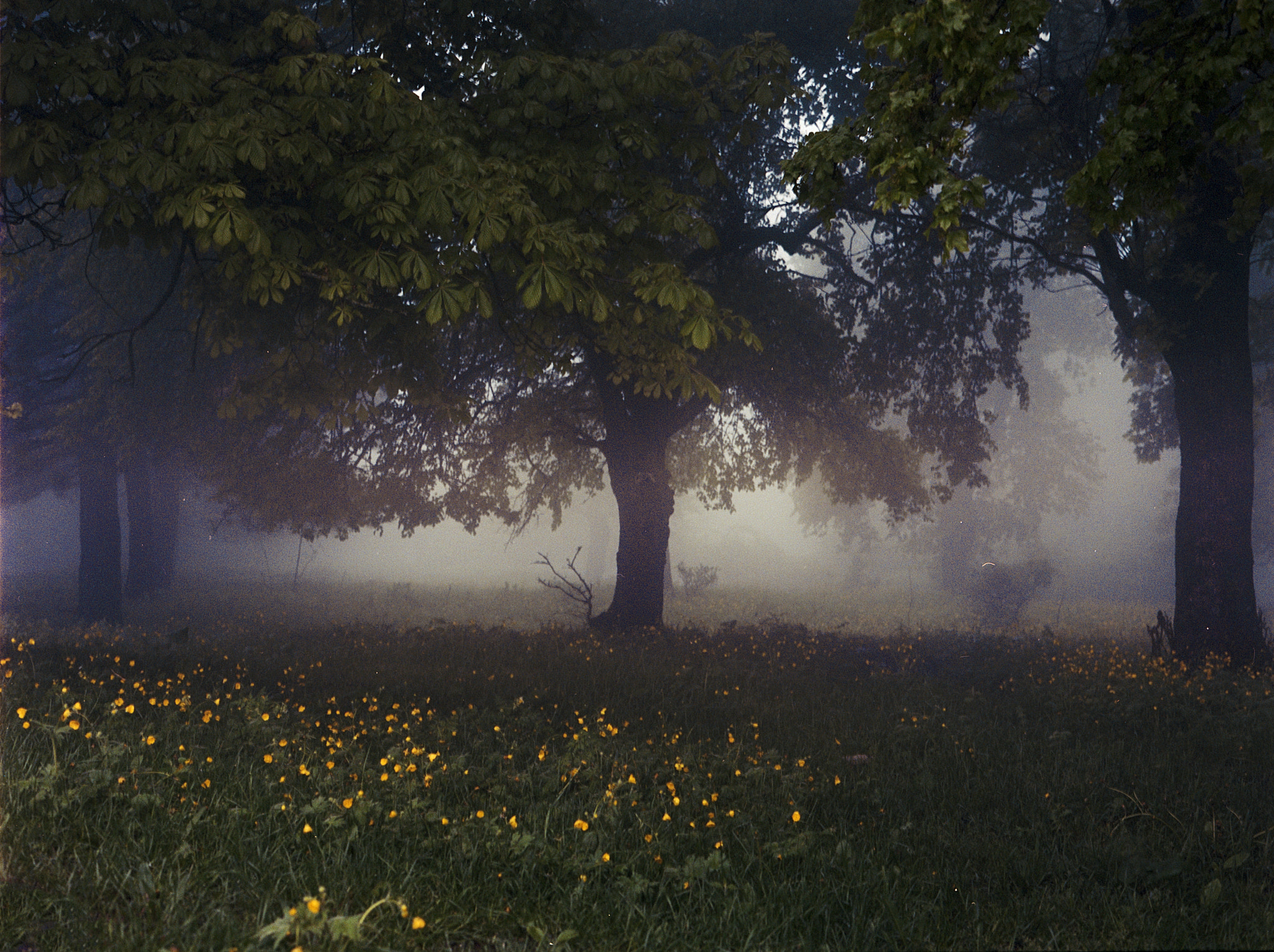 Upslope fog in May by Mariam Sitchinava / 500px