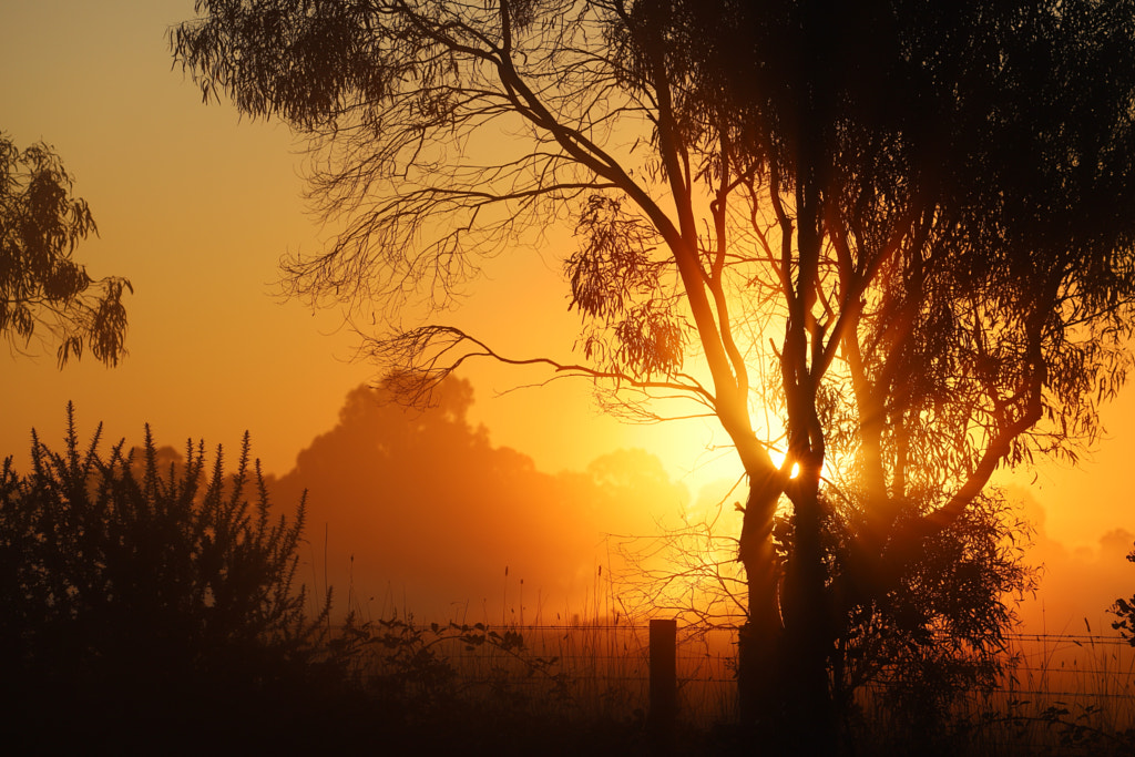 Morning Bewitched! by Bruce Prothero / 500px