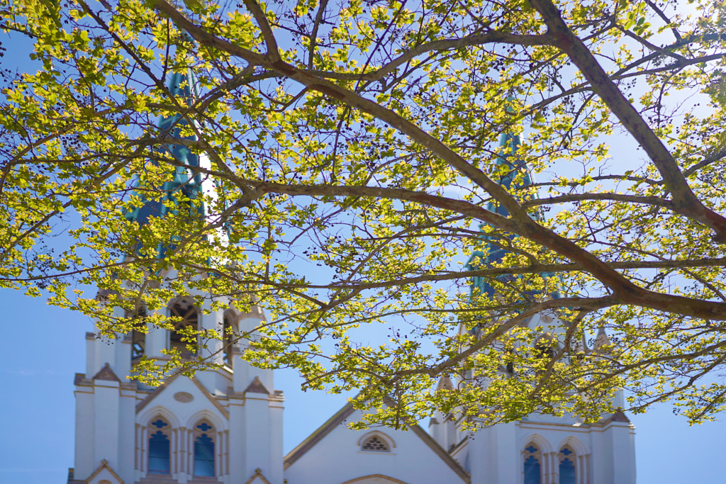 The Cathedral Basilica of St John the Baptist in Savannah. by James ...