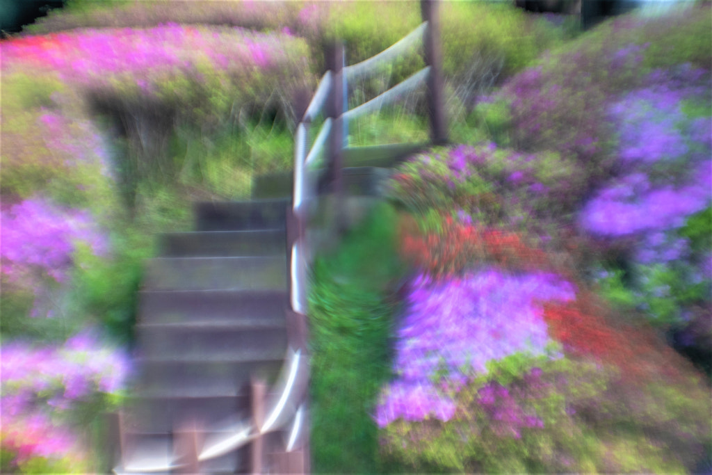 Iron Bamboo Flower Garden by future sung / 500px