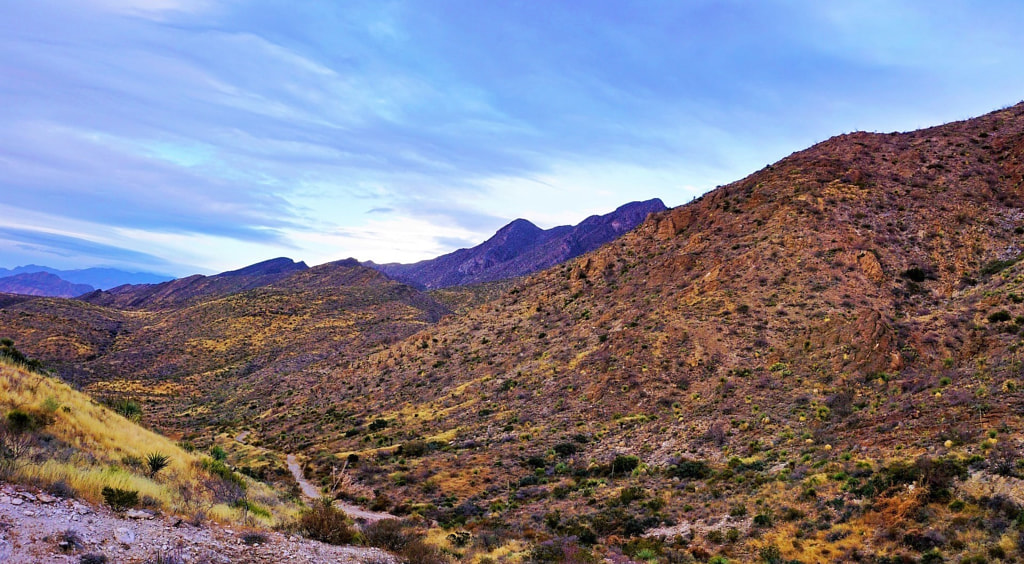 El Paso, West Texas USA: A Magical Moment! by Brian Scrivner / 500px