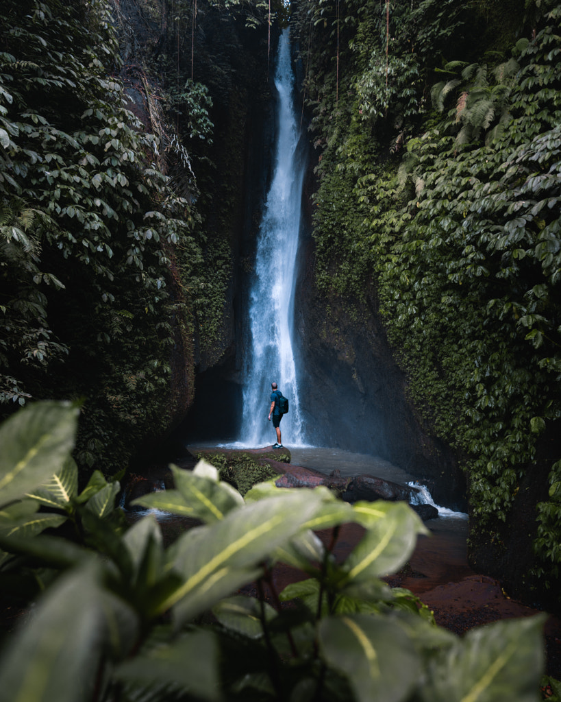 Deep in the jungle by Antonio Sharaliev / 500px