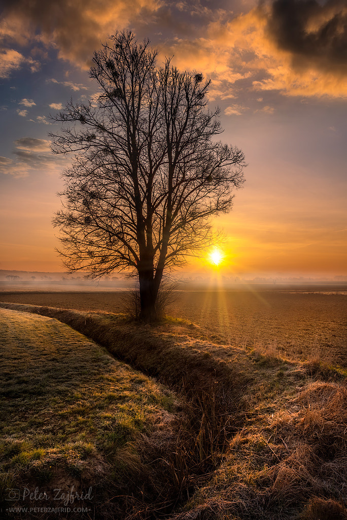 Spring sunrise by Peter Zajfrid / 500px