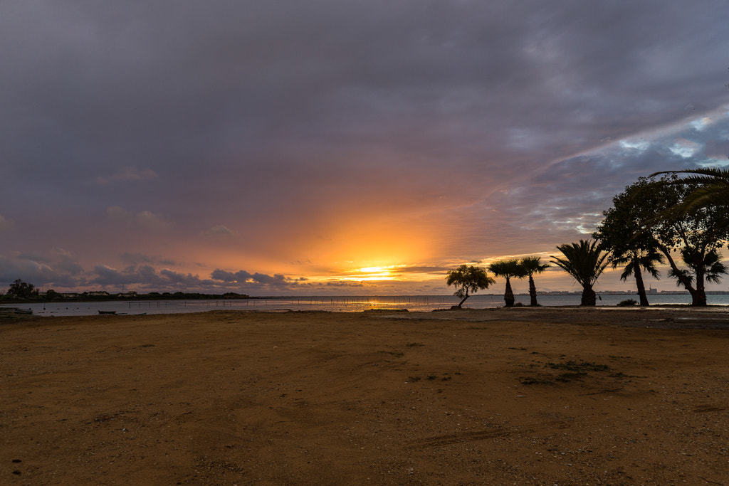 Scenic view of beach against sky during sunset by Natalie / 500px