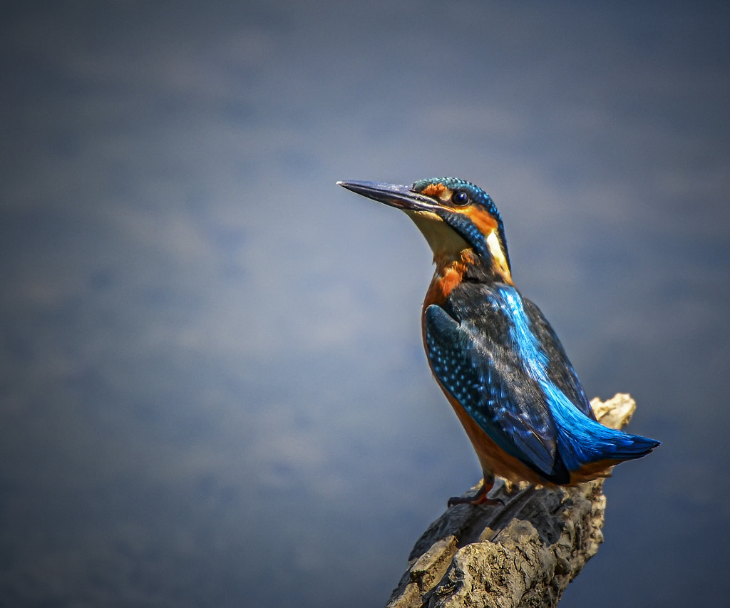 Shades of blue by Stavros Toumanidis / 500px