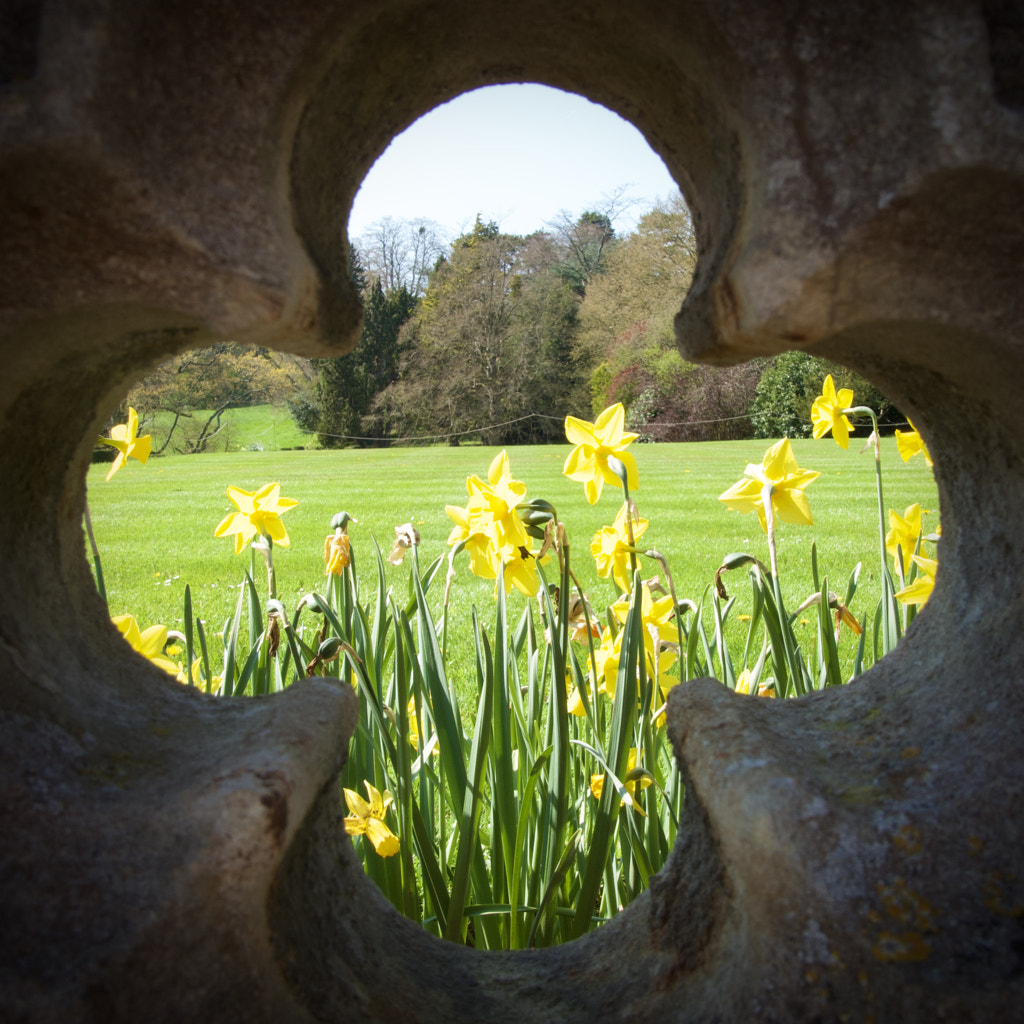 Spring by Ella / 500px