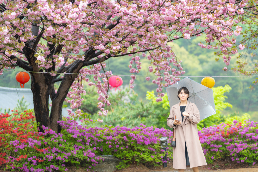 Portait in the spring temple by Codewalker / 500px