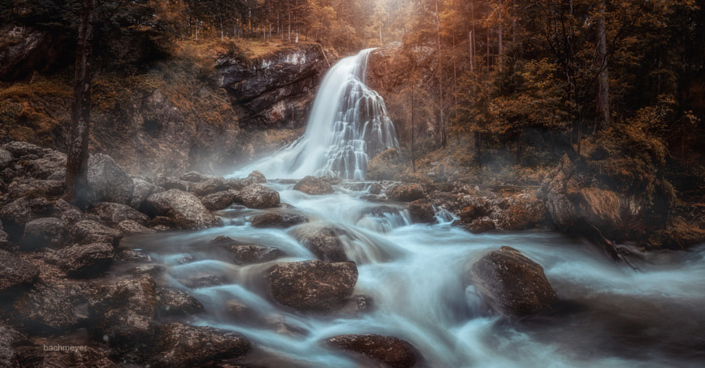Deep into the forest by Casey Bachmeyer / 500px