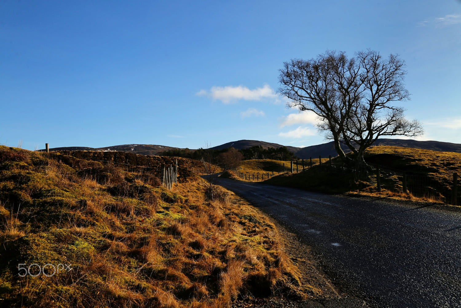 GLEN CLOVA by Hilda Murray / 500px