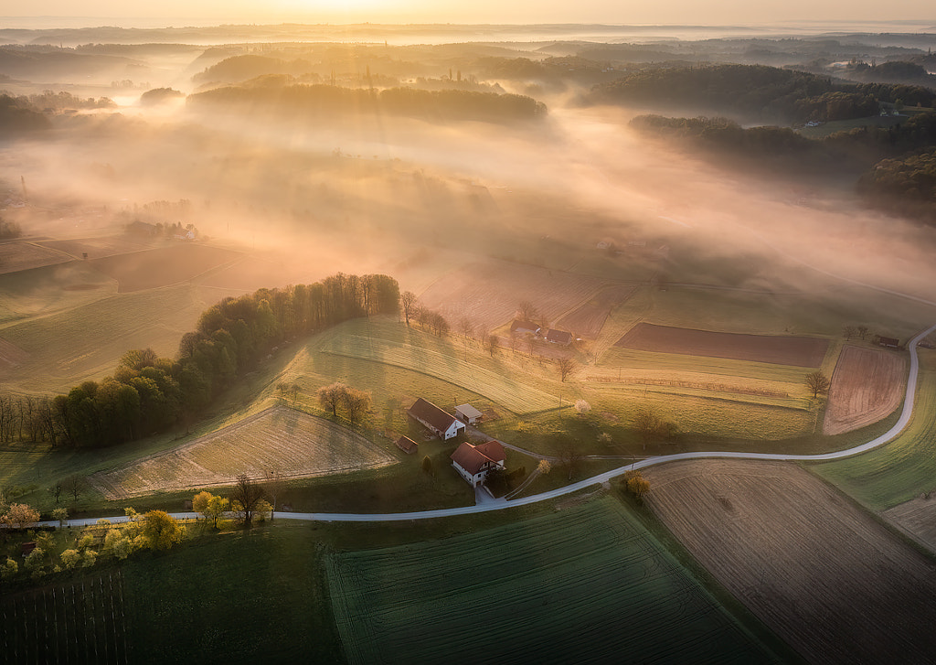 Morning light by Peter Zajfrid / 500px