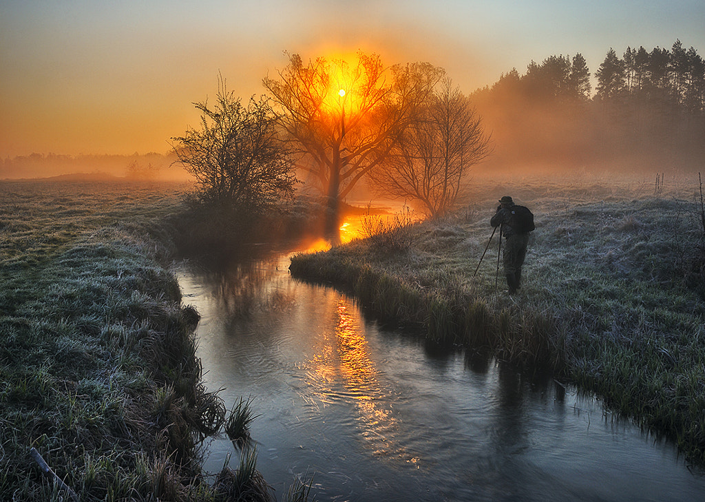 Spring morning by Sergey Nesterchuk / 500px