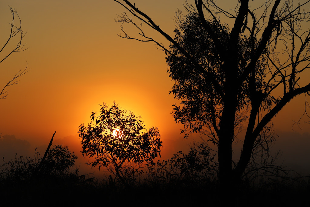 Morning has Broken! by Bruce Prothero / 500px