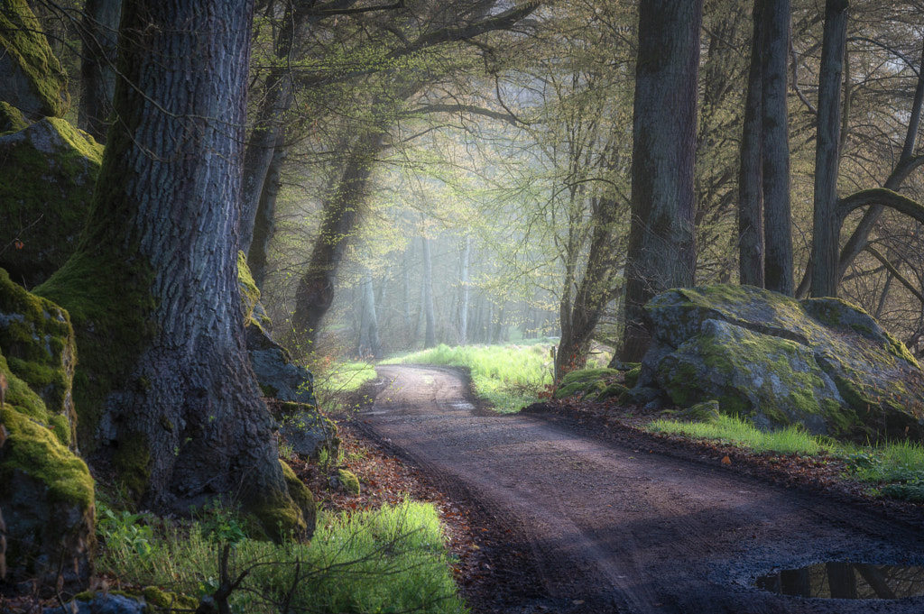 road between rocks 7283 by Hans Zitzler / 500px