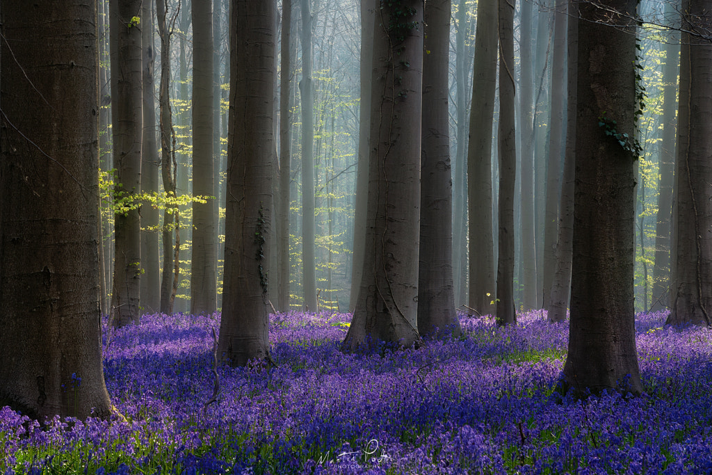 Into the blue by Martin Podt / 500px
