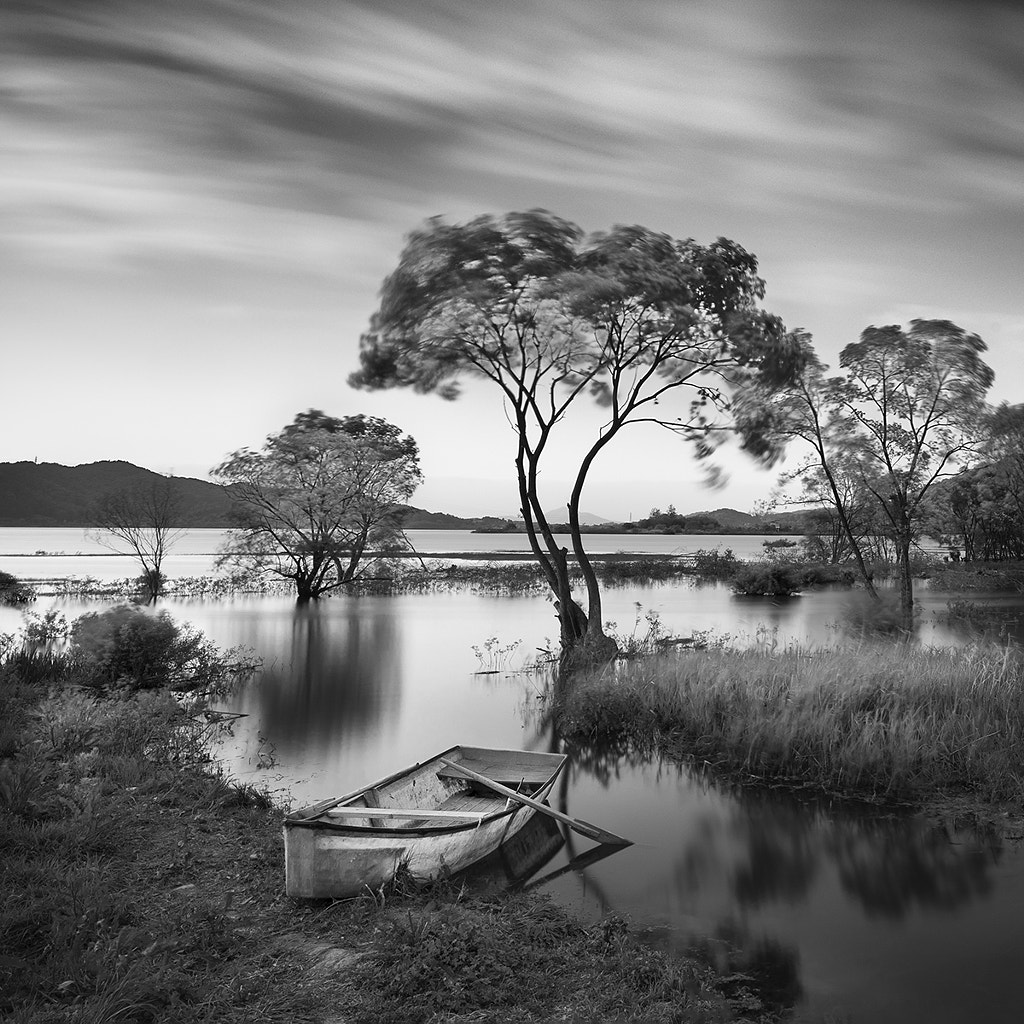 Spring by Beomyoung Go / 500px