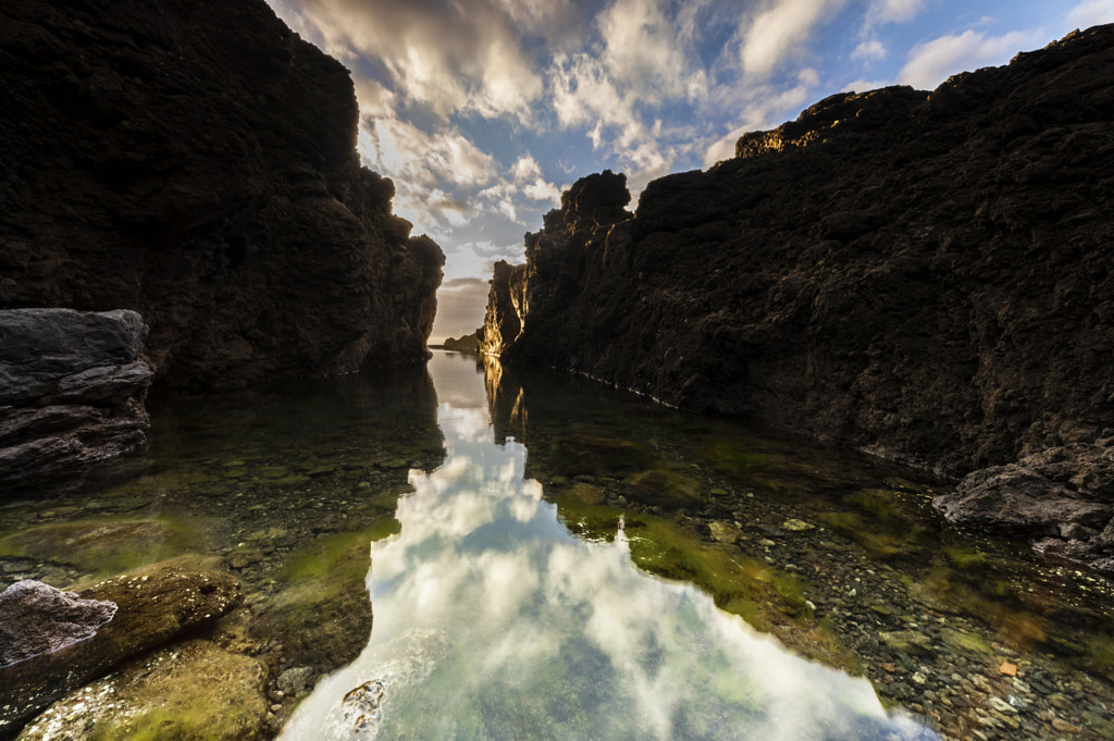 Reflexes by wild / 500px