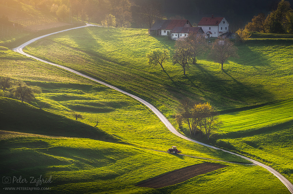 Spring on the fields by Peter Zajfrid / 500px