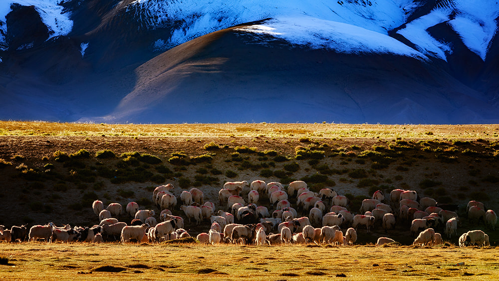 Peiku Gangri 佩枯崗日 by Chenwah Lee 李進華 / 500px