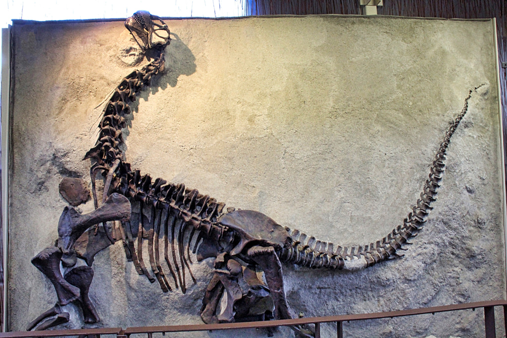 Dinosaur National Monument - 12 by Carl Main / 500px