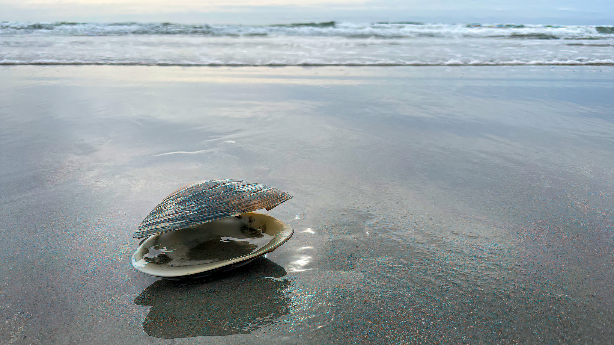 Beachside on Cape Sable Island, Nova Scotia. by Attila Michael Zsaki ...