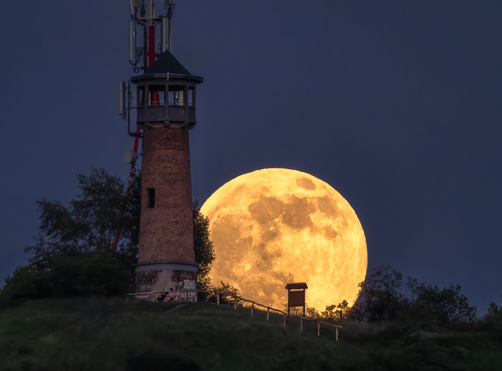 Together by Szilard Jozsa / 500px