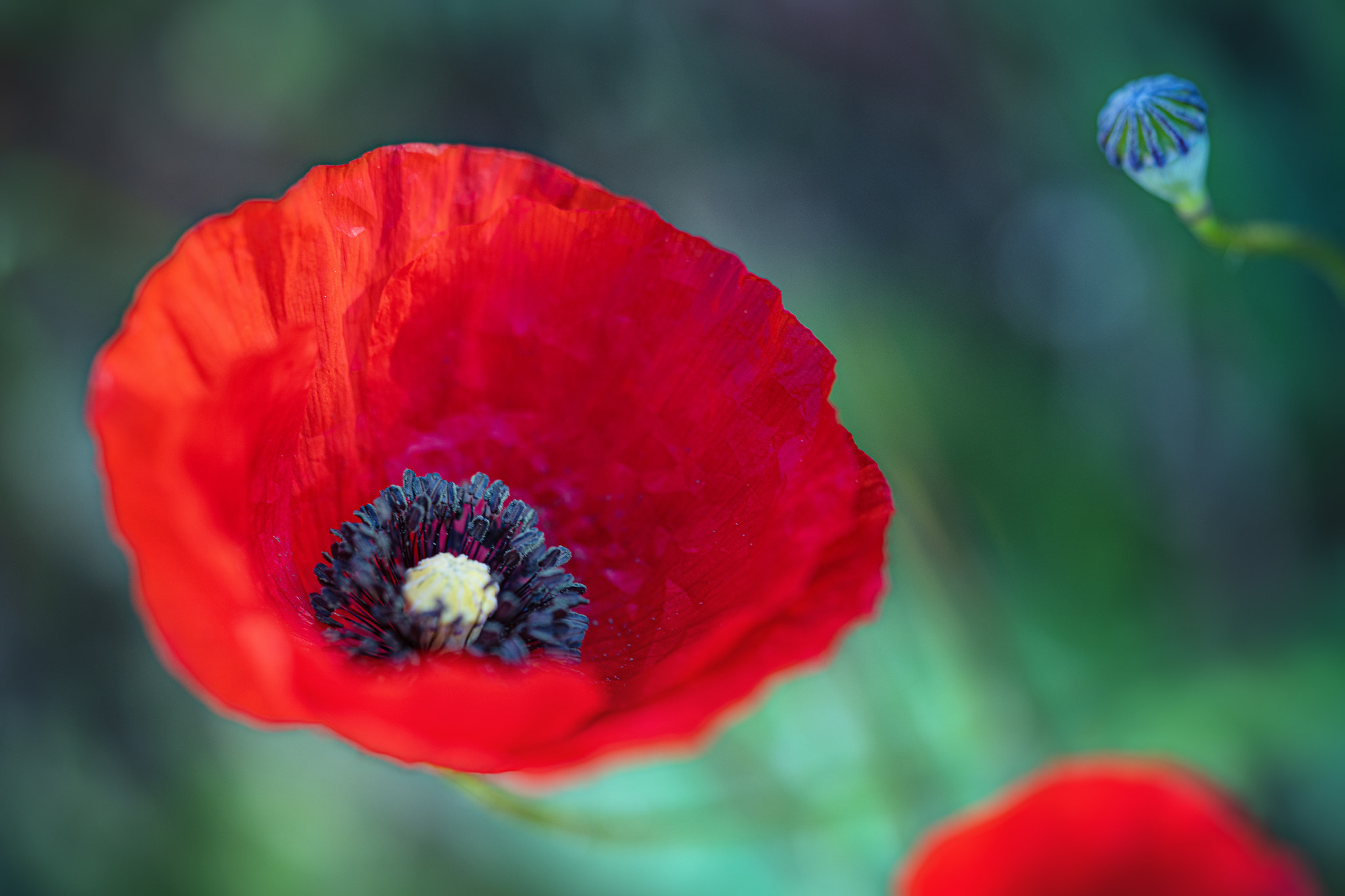 tell me what ... by frederic gombert / 500px